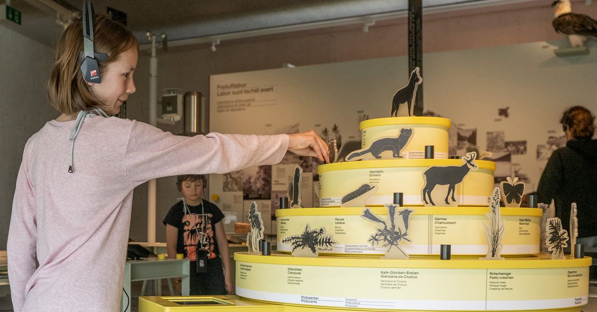 Wildnis im Zentrum im Nationalparkzentrum - MiBon