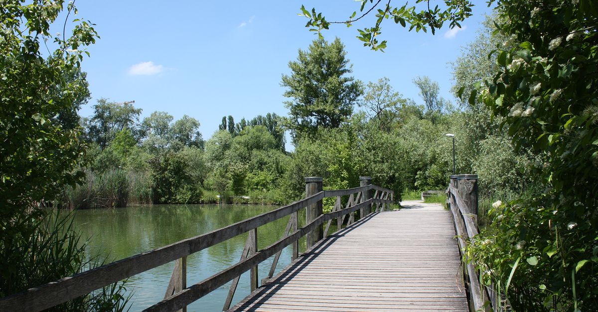 Park im Grünen / Grün 80 - MiBon