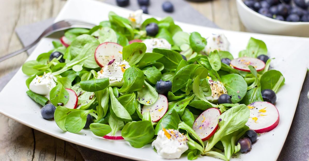 Salade de rampon aux myrtilles et aux radis - MiBon