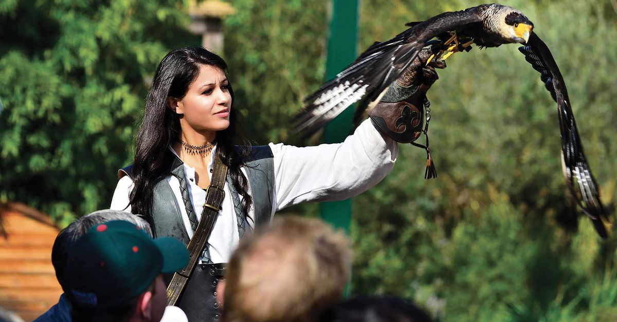 Falconeria Locarno - MiBon