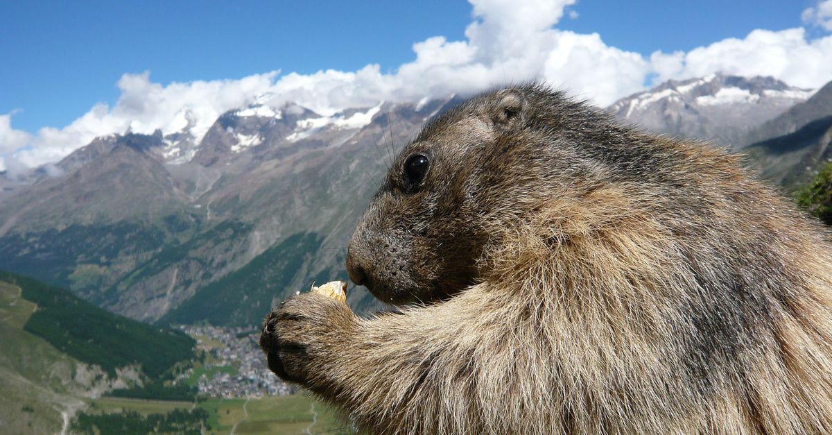 Ausflugstipp Saas-Fee – Spielboden - MiBon