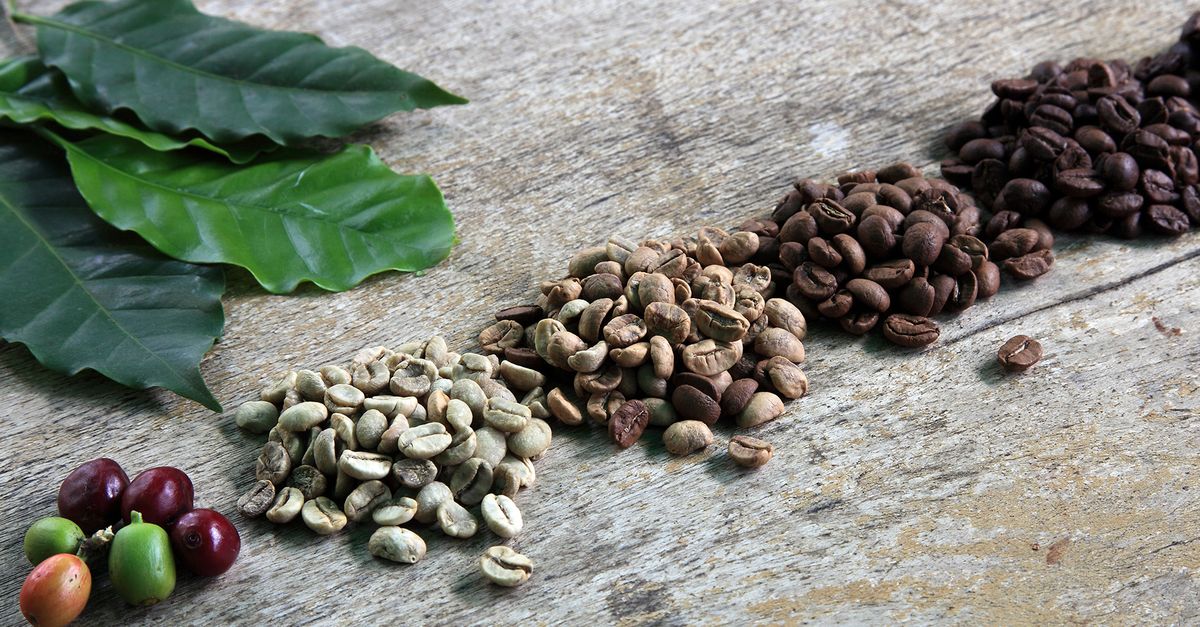 Tout sur le café - MiBon