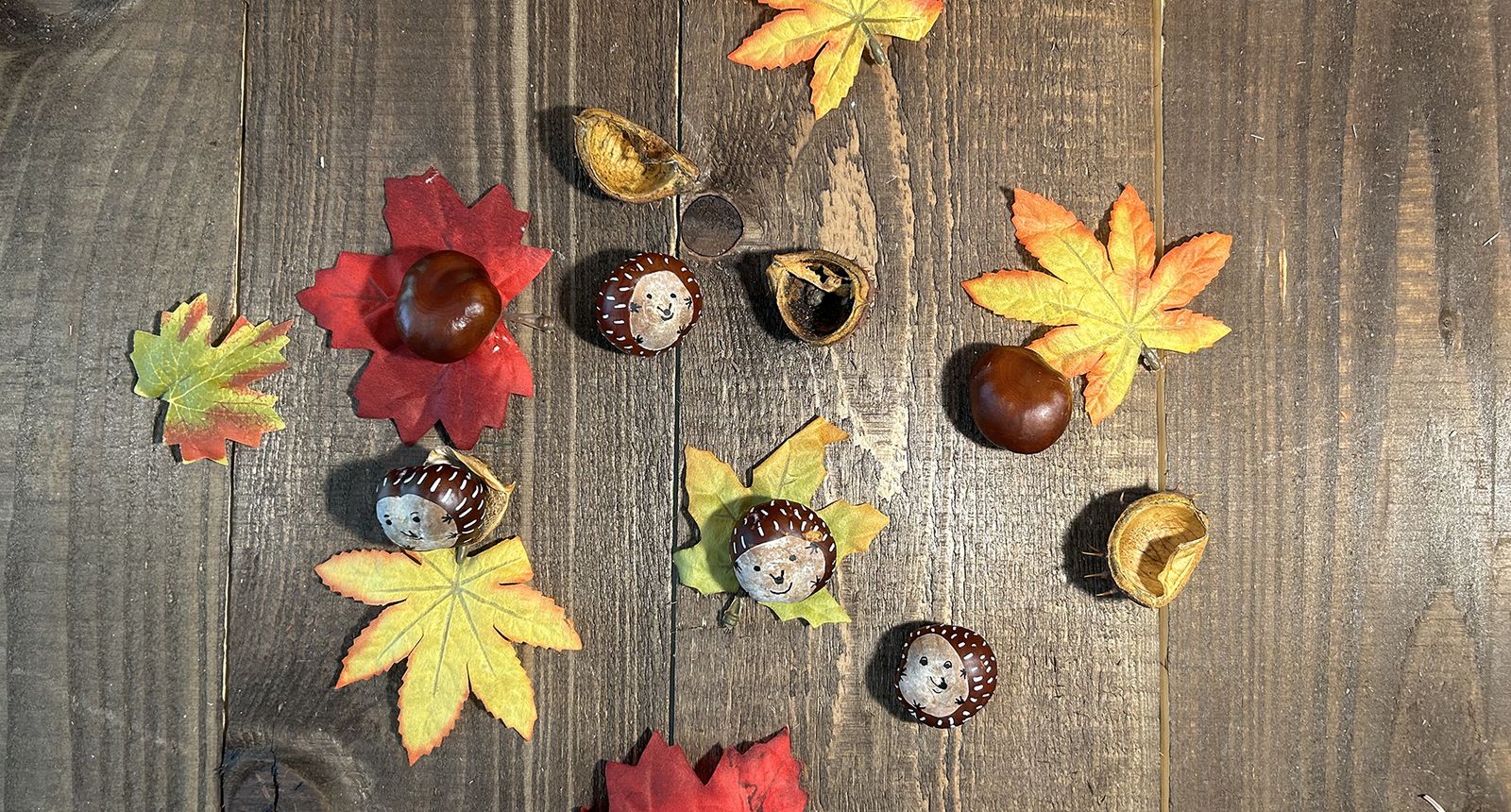 Igel aus Kastanien - MiBon